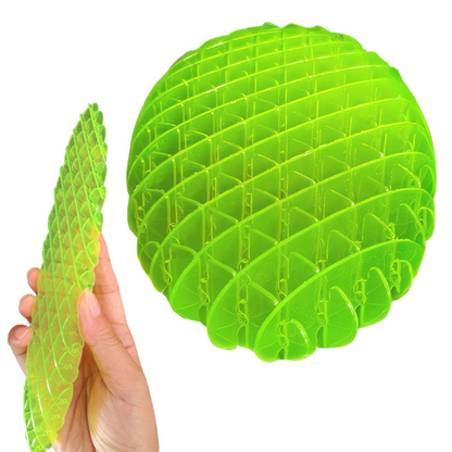 Warp Wiggle Worm – Autism Resources South Africa